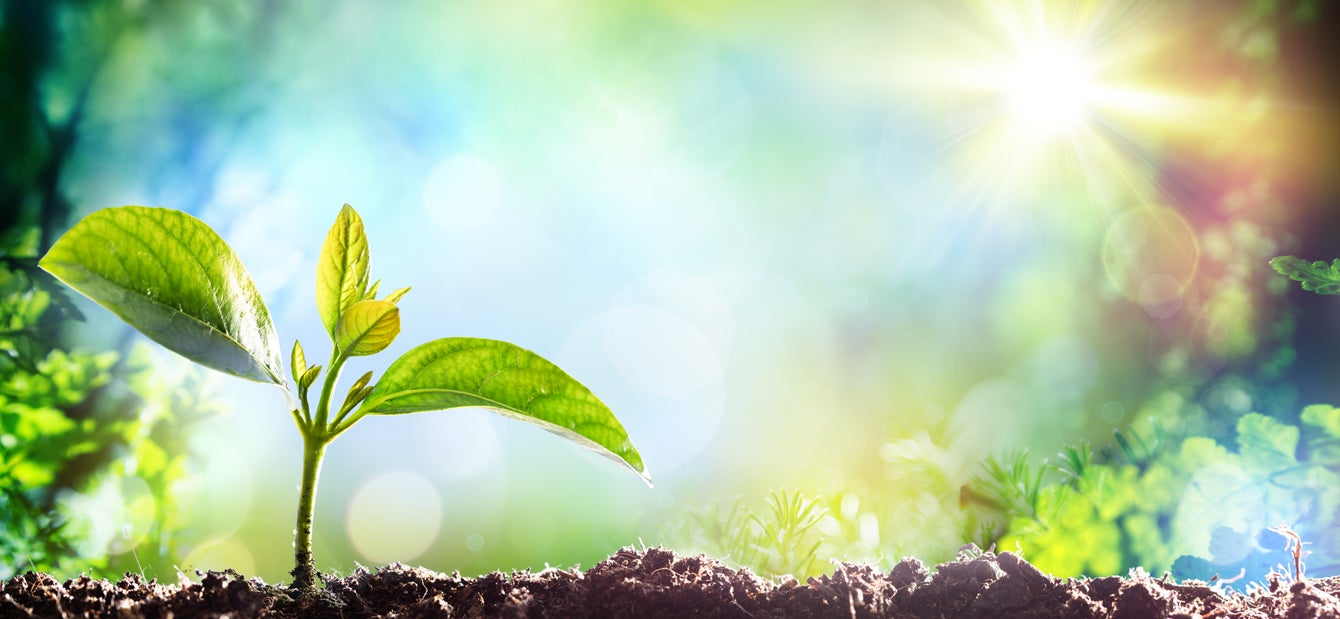 Renewing Introductory Mathematics | UT Dana Center