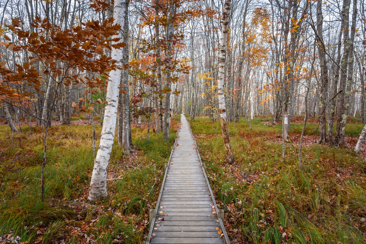 Maine’s Collaborative Journey to Coherent Math Pathways | UT Dana Center